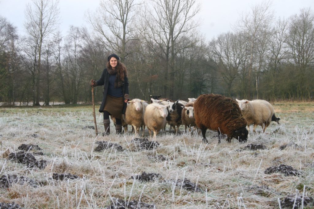 Startseite – Stiftung Edith Maryon