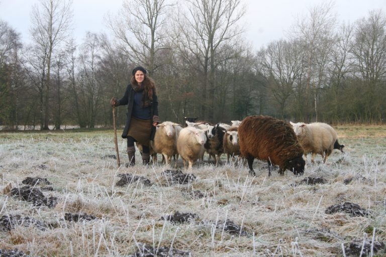 Startseite – Stiftung Edith Maryon